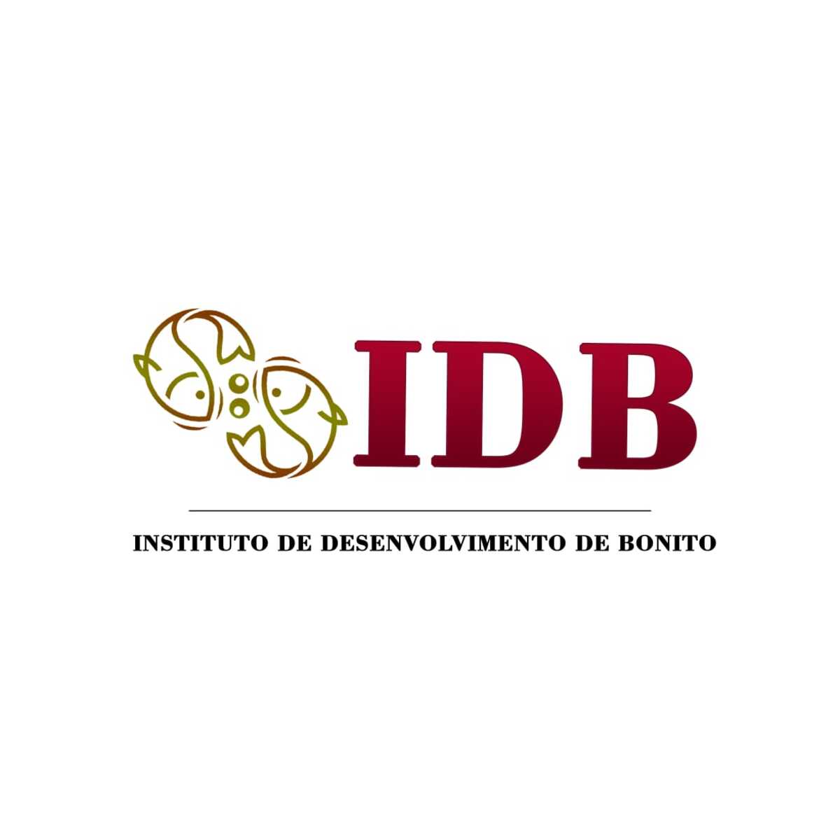 Instituto de Desenvolvimento de Bonito apresenta nova diretoria e ...