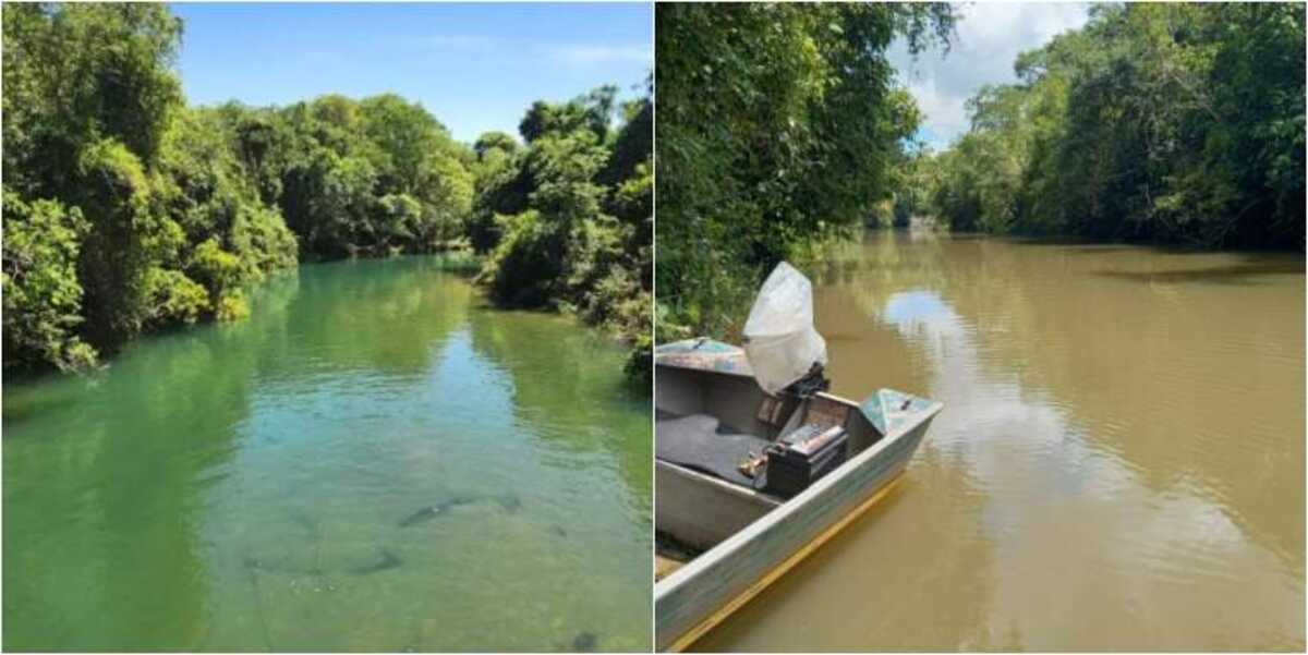 Rio Formoso está cada vez mais turvo e preocupa ambientalistas da ...
