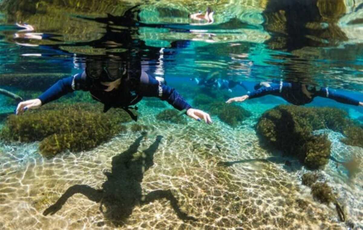 Reportagem sobre Bonito no Jornal Nacional faz parte do especial de 60 ...