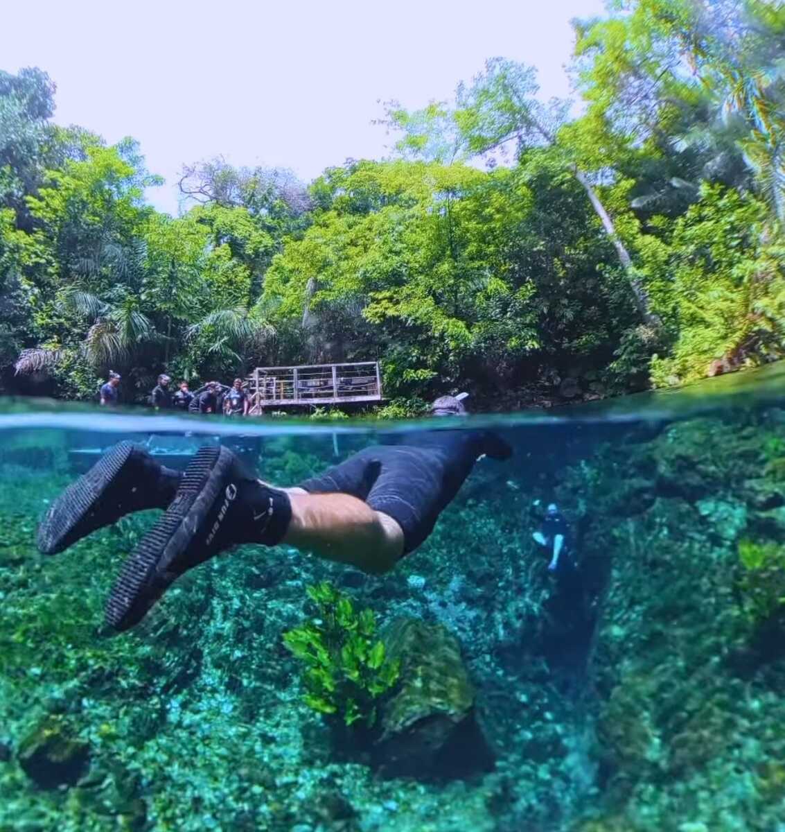 Venha Viver um Contato Singular com a Natureza na Nascente Azul em ...