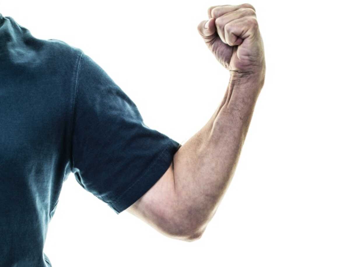 Veja os órgãos que você carrega e são inúteis - Bonito Informa