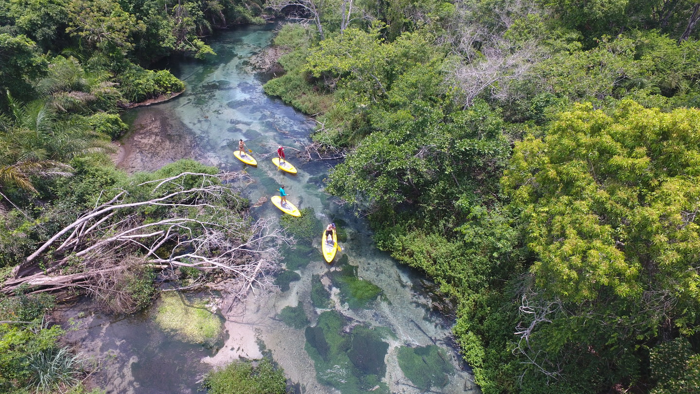 IDB INFORMA: que tal descansar no trecho mais cristalino do Rio Formoso ...